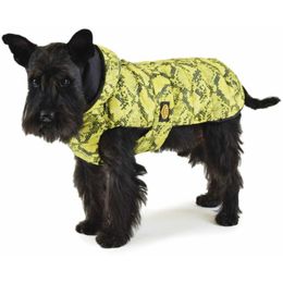 Gesteppter Regenmantel für Hunde - 27 cm - Fashion Dog