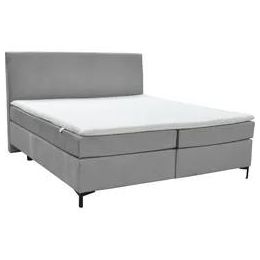 Boxspringbett Alina "Petro" Komplettbetten Gr. Samtstoff DFN-Samtstoff DFH, Liegefläche B/L: 160 cm x 200 cm, Gewicht bis: 100 kg + 100 kg H3 + H3, 5-Zonen-Tonnentaschen-Federkernmatratze, grau (grau dfn, dfh 49) Boxspringbett inklusive Matratze und Topper, in diversen Ausführungen