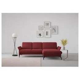 Sit & More Ecksofa SIT & MORE "Fashion L-Form" Sofas Gr. B/H/T: 253cm x 84cm x 165cm, Luxus-Microfaser ALTARA NUBUCK, Recamiere rechts, mit Kopfteilverstellung-mit Metallfuesse schwarz matt, rot (bordeaux) wahlweise mit Kopfteilverstellung und Vorziehsitz, motorisch