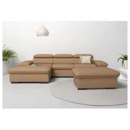 Ecksofa Home Affaire "Alberto L-Form" Sofas Gr. B/H/T: 286 cm x 73 cm x 174 cm, NaturLEDER-NaturLEDER, Recamiere links, ohne Bettfunktion-Rücken mit Leder bezogen, braun (cappucino) wahlweise mit Bettfunktion, inkl. Kopfteilverstellung, Recamiere