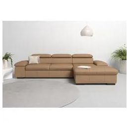 Ecksofa Home Affaire "Alberto L-Form" Sofas Gr. B/H/T: 286 cm x 73 cm x 174 cm, NaturLEDER-NaturLEDER, Recamiere rechts, ohne Bettfunktion-Rücken mit Leder bezogen, braun (cappucino) wahlweise mit Bettfunktion, inkl. Kopfteilverstellung, Recamiere