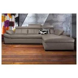 Ecksofa exxpo - SOFA FASHION "Salerno, klassisch modernes Funktionssofa, hoher Sitzkomfort, L-Form" Sofas Gr. B/H/T: 280 cm x 77 cm x 170 cm, Naturleder MADRAS-Kunstleder, Recamiere rechts, ohne Bettfunktion-ohne Bettkasten, grau (delfin) inkl. Kopf- und Armteilverstellung, wahlweise mit Bettfunktion