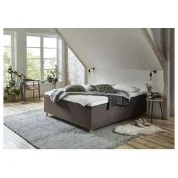 Boxbett Home Affaire "Thorsby" Komplettbetten Gr. Bezug Strukturstoff, Liegefläche B/L: 160cm x 200cm Betthöhe: 51cm, Gewicht bis: 120 kg H3, Taschen-Federkernmatratze, braun Boxspringbett Boxbett ohne Kopfteil, frei im Raum stellbar, für Dachschrägen