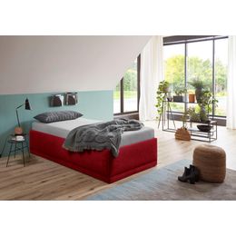 Polsterbett "Texel", rot (bordeaux, rot), B:106cm H:42cm L:206cm, Bezug Bett: Veloursstoff 100% Polyester oder Microfaser (100% Polyester);Bonnell-Federkernmatratze: 51% Polypropylen, 39% Polyester und 10% Baumwolle;Kaltschaummatratze: 100% Polyester, Bezug abnehm- und waschbar bis 60C;Kissenbezug: 100% Polyester, Füllung : 100% Polyester (Hohlfaser), Westfalia Schlafkomfort, Betten, Komforthöhe m