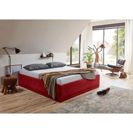 Polsterbett "Texel", rot (bordeaux, rot), B:206cm H:42cm L:206cm, Bezug Bett: Veloursstoff 100% Polyester oder Microfaser (100% Polyester);Bonnell-Federkernmatratze: 51% Polypropylen, 39% Polyester und 10% Baumwolle;Kaltschaummatratze: 100% Polyester, Bezug abnehm- und waschbar bis 60C;Kissenbezug: 100% Polyester, Füllung : 100% Polyester (Hohlfaser), Westfalia Schlafkomfort, Betten, Komforthöhe m
