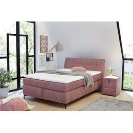 Jockenh&ouml;fer Boxspringbett JOCKENH&Ouml;FER GRUPPE "Gitta", rosa (rosa 411, 05), B:155cm L:224cm, Bezug Bett: 100% Polyester;Topper und Matratzenspiegel: 100% Polyester, Komplettbetten, Boxspringbett, mit Topper