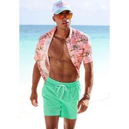 Badeshorts Venice Beach Gr. L (52), N-Gr, grün (mint) Herren Badehosen Badeshorts mit Marken-Logo