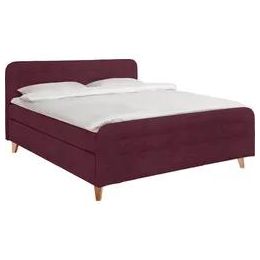 Boxspringbett Tom Tailor HOME "NORDIC BOX" Komplettbetten Gr. Samtstoff TSV, Liegefläche B/L: 180cm x 200cm, H3 + H3, 5-Zonen-Tonnentaschen-Federkernmatratze, rot (wine red tsv 7) Boxspringbett mit Knopfheftung im Kopfteil und Fußteil, Füße in Buche natur