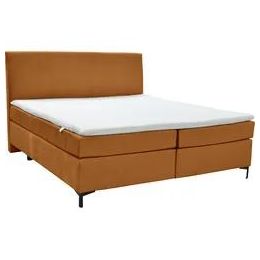 Boxspringbett Alina "Petro" Komplettbetten Gr. Samtstoff DFN-Samtstoff DFH, Liegefläche B/L: 180 cm x 200 cm, Gewicht bis: 100 kg + 100 kg H3 + H3, 5-Zonen-Tonnentaschen-Federkernmatratze, braun (ocker dfn, dfh 65) Boxspringbett inklusive Matratze und Topper, in diversen Ausführungen