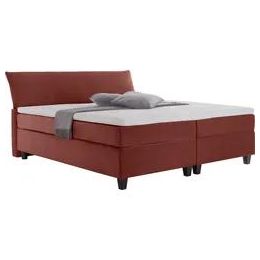 Boxspringbett Tom Tailor HOME "COLOR BOX" Komplettbetten Gr. Samtstoff TSV ohne Tom Tailor Print, Liegefläche B/L: 160 cm x 200 cm, H2/H3, 5-Zonen-Tonnentaschen-Federkernmatratze, braun (copper tsv 22) Boxspringbett ohne Print