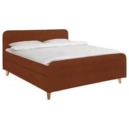 Boxspringbett Tom Tailor HOME "NORDIC BOX" Komplettbetten Gr. Samtstoff TSV, Liegefläche B/L: 200cm x 200cm, H2 + H2, 5-Zonen-Tonnentaschen-Federkernmatratze, braun (copper tsv 22) Boxspringbett mit Knopfheftung im Kopfteil und Fußteil, Füße in Buche natur