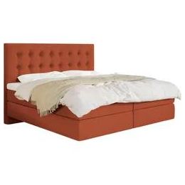 Boxspringbett Schlaraffia "Everton" Komplettbetten Gr. Veloursstoff COSY, Liegefläche B/L: 160cm x 200cm, H3 + H3, 7-Zonen-Tonnentaschen-Federkernmatratze, braun (rust) Boxspringbett inklusive BULTEX-Topper, Fuß in Schwebeoptik