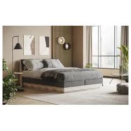 Boxspringbett Home Affaire "Naome" Komplettbetten Gr. Luxus-Microfaser, Liegefläche B/L: 160cm x 200cm, Gewicht bis: 120 kg + 120 kg H4 + H4, 7-Zonen-Tonnentaschen-Federkern-Partnermatratze, grau (anthracite) Boxspringbett Boxspringbett, Inklusive Topper