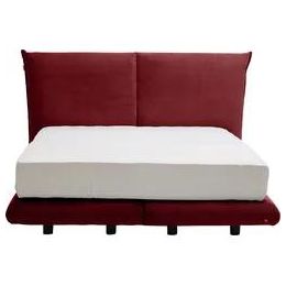 Boxspringbett Tom Tailor HOME "SOHO PILLOW BOX" Komplettbetten Gr. Cord TRI ohne Tom Tailor Print, Liegefläche B/L: 200cm x 200cm, H2/H3, 5-Zonen-Tonnentaschen-Federkern-Partnermatratze, rot (cherry tri 77) Boxspringbett in Schwebeoptik, Kopfteil Kissenform, Höhe 120 cm