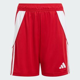 Adidas Tiro 24 Kids Shorts