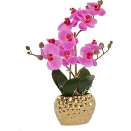 Kunstpflanze Orchidee Orchidee, LEONIQUE, Höhe 38 cm, Kunstorchidee, im Topf, goldfarben|lila