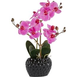 Kunstpflanze Orchidee Orchidee, LEONIQUE, Höhe 38 cm, Kunstorchidee, im Topf, lila|schwarz