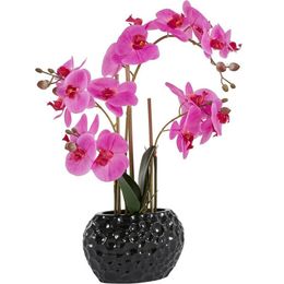 Kunstpflanze Orchidee Orchidee, LEONIQUE, Höhe 55 cm, Kunstorchidee, im Topf, lila|schwarz