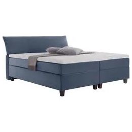 Boxspringbett Tom Tailor HOME "COLOR BOX" Komplettbetten Gr. Samtstoff TSV ohne Tom Tailor Print, Liegefläche B/L: 200cm x 200cm, H2/H3, 5-Zonen-Tonnentaschen-Federkernmatratze, blau (cornflower tsv 16) Boxspringbett ohne Print