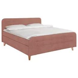 Boxspringbett Tom Tailor HOME "NORDIC BOX" Komplettbetten Gr. Samtstoff TSV, Liegefläche B/L: 160cm x 200cm, H2 + H3, 5-Zonen-Tonnentaschen-Federkernmatratze, rosa (blossom tsv 37) Boxspringbett mit Knopfheftung im Kopfteil und Fußteil, Füße in Buche natur