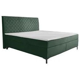 Boxspringbett Alina "Petro" Komplettbetten Gr. Samt DMO-Samt DMK, Liegefläche B/L: 160 cm x 200 cm, Gewicht bis: 80 kg + 100 kg H2 + H3, 5-Zonen-Tonnentaschen-Federkernmatratze, grün (opalgrün dmo, dmk 123) Boxspringbett inklusive Matratze und Topper, in diversen Ausführungen