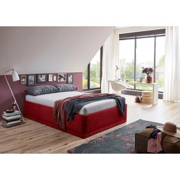 Polsterbett "Texel", rot (bordeaux, rot), B:146cm H:42cm L:206cm, Bezug Bett: Veloursstoff 100% Polyester oder Microfaser (100% Polyester);Bonnell-Federkernmatratze: 51% Polypropylen, 39% Polyester und 10% Baumwolle;Kaltschaummatratze: 100% Polyester, Bezug abnehm- und waschbar bis 60C;Kissenbezug: 100% Polyester, Füllung : 100% Polyester (Hohlfaser), Westfalia Schlafkomfort, Betten, Komforthöhe m