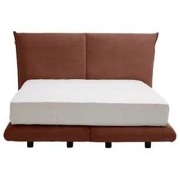 Boxspringbett Tom Tailor HOME "SOHO PILLOW BOX" Komplettbetten Gr. Cord TRI ohne Tom Tailor Print, Liegefläche B/L: 160cm x 200cm, H2/H3, 5-Zonen-Tonnentaschen-Federkern-Partnermatratze, braun (cinnamon tri 154) Boxspringbett in Schwebeoptik, Kopfteil Kissenform, Höhe 120 cm