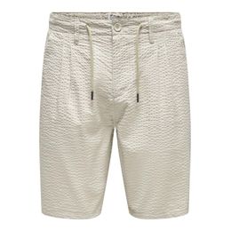 Only & Sons Only & Sons Pleat-Front Pants 'ONSLeo' male size 50/52 Greige
