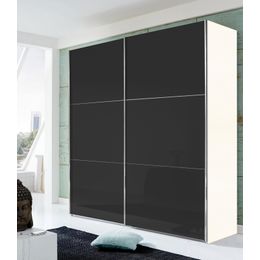 Schwebetürenschrank wimex "Level by fresh to go" Schränke Gr. B/H/T: 250 cm x 236 cm x 65 cm, 2 St., weiß (weiß, grauglas) Schranksysteme und Schrankserien mit Glastüren