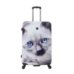 Koffer Saxoline "White Cat" Gr. B/H/T: 51.00 cm x 78.00 cm x 28.00 cm, bunt (mehrfarbig) Koffer mit niedlichem Katzenmotiv