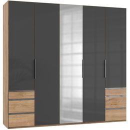 Kleiderschrank wimex "Level by fresh to go" Schränke Gr. B/H/T: 250 cm x 236 cm x 58 cm, 5 St., grau (plankeneichefarben, grauglas) Drehtürenschrank Kleiderschrank Schränke mit Glas-und Spiegeltüren