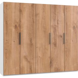 Kleiderschrank wimex "Level by fresh to go" Schränke Gr. B/H/T: 250 cm x 216 cm x 58 cm, 5 St., weiß (weiß, plankeneichefarben) Kleiderschränke ohne Schubladen