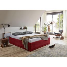 Polsterbett "Texel", rot (bordeaux, rot), B:166cm H:42cm L:206cm, Bezug Bett: Veloursstoff 100% Polyester oder Microfaser (100% Polyester);Bonnell-Federkernmatratze: 51% Polypropylen, 39% Polyester und 10% Baumwolle;Kaltschaummatratze: 100% Polyester, Bezug abnehm- und waschbar bis 60C;Kissenbezug: 100% Polyester, Füllung : 100% Polyester (Hohlfaser), Westfalia Schlafkomfort, Betten, Komforthöhe m