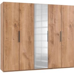 Kleiderschrank wimex "Level by fresh to go" Schränke Gr. B/H/T: 250 cm x 216 cm x 58 cm, 5 St., braun (plankeneichefarben) Kleiderschränke mit Spiegeltüren