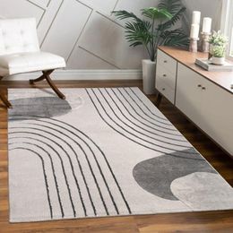 Teppich Wohnzimmer Kurzflor Blätter Floral Regenbogen Geometrisch 120x160 cm, Grau 4 - Paco Home