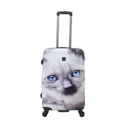 Koffer Saxoline "White Cat" Gr. B/H/T: 44.00 cm x 67.00 cm x 24.00 cm, bunt (mehrfarbig) Koffer Trolleys mit praktischen Tragegriffen