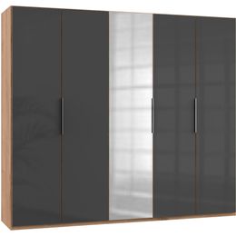 Kleiderschrank wimex "Level by fresh to go" Schränke Gr. B/H/T: 250 cm x 216 cm x 58 cm, 5 St., grau (plankeneichefarben, grauglas) Kleiderschrank Drehtürenschrank Schränke mit Glas- und Spiegeltüren