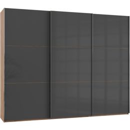 Schwebetürenschrank wimex "Level by fresh to go" Schränke Gr. B/H/T: 300 cm x 236 cm x 65 cm, 3 St., grau (plankeneichefarben, grauglas) Schranksysteme und Schrankserien mit Glastüren