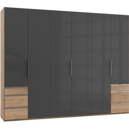 Kleiderschrank wimex "Level by fresh to go" Schränke Gr. B/H/T: 300 cm x 236 cm x 58 cm, 6 St., grau (plankeneichefarben, grauglas) Drehtürenschrank Kleiderschrank Drehtürenschränke Schränke mit vollflächigen Glastüren