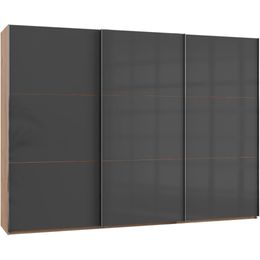 Schwebetürenschrank wimex "Level by fresh to go" Schränke Gr. B/H/T: 300 cm x 216 cm x 65 cm, 3 St., grau (plankeneichefarben, grauglas) Schranksysteme und Schrankserien mit Glastüren