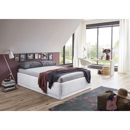 Polsterbett "Texel", weiß, B:146cm H:42cm L:206cm, Bezug Bett: Veloursstoff 100% Polyester oder Microfaser (100% Polyester);Bonnell-Federkernmatratze: 51% Polypropylen, 39% Polyester und 10% Baumwolle;Kaltschaummatratze: 100% Polyester, Bezug abnehm- und waschbar bis 60C;Kissenbezug: 100% Polyester, Füllung : 100% Polyester (Hohlfaser), Westfalia Schlafkomfort, Betten, Komforthöhe mit Zierkissen, 