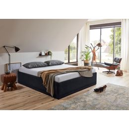 Polsterbett "Texel", schwarz, B:206cm H:42cm L:206cm, Bezug Bett: Veloursstoff 100% Polyester oder Microfaser (100% Polyester);Bonnell-Federkernmatratze: 51% Polypropylen, 39% Polyester und 10% Baumwolle;Kaltschaummatratze: 100% Polyester, Bezug abnehm- und waschbar bis 60C;Kissenbezug: 100% Polyester, Füllung : 100% Polyester (Hohlfaser), Westfalia Schlafkomfort, Betten, Komforthöhe mit Zierkisse