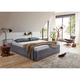 Polsterbett "Texel", grau (anthrazit), B:206cm H:42cm L:206cm, Bezug Bett: Veloursstoff 100% Polyester oder Microfaser (100% Polyester);Bonnell-Federkernmatratze: 51% Polypropylen, 39% Polyester und 10% Baumwolle;Kaltschaummatratze: 100% Polyester, Bezug abnehm- und waschbar bis 60C;Kissenbezug: 100% Polyester, Füllung : 100% Polyester (Hohlfaser), Westfalia Schlafkomfort, Betten, Komforthöhe mit 
