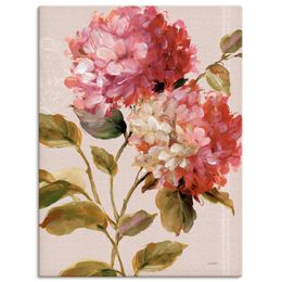 Wandbild Artland "Harmonische Hortensien" Bilder Gr. B/H: 60 cm x 80 cm, Leinwandbild Blumen Hochformat, 1 St., pink Kunstdrucke als Leinwandbild, Poster in verschied. Größen