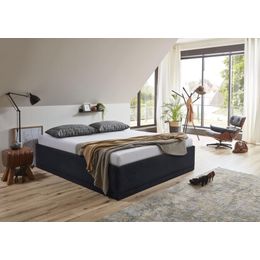 Polsterbett "Texel", schwarz, B:186cm H:42cm L:206cm, Bezug Bett: Veloursstoff 100% Polyester oder Microfaser (100% Polyester);Bonnell-Federkernmatratze: 51% Polypropylen, 39% Polyester und 10% Baumwolle;Kaltschaummatratze: 100% Polyester, Bezug abnehm- und waschbar bis 60C;Kissenbezug: 100% Polyester, Füllung : 100% Polyester (Hohlfaser), Westfalia Schlafkomfort, Betten, Komforthöhe mit Zierkisse