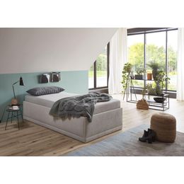 Polsterbett "Texel", beige, B:106cm H:42cm L:206cm, Bezug Bett: Veloursstoff 100% Polyester;Bonnell-Federkernmatratze: 51% Polypropylen, 39% Polyester und 10% Baumwolle;Kaltschaummatratze: 100% Polyester, Bezug abnehm- und waschbar bis 60C;Kissenbezug: 100% Polyester, Füllung : 100% Polyester (Hohlfaser), Westfalia Schlafkomfort, Betten, Komforthöhe mit Zierkissen, Bettkasten bei Ausführung mit Ma