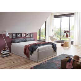 Polsterbett "Texel", beige, B:146cm H:42cm L:206cm, Bezug Bett: Veloursstoff 100% Polyester;Bonnell-Federkernmatratze: 51% Polypropylen, 39% Polyester und 10% Baumwolle;Kaltschaummatratze: 100% Polyester, Bezug abnehm- und waschbar bis 60C;Kissenbezug: 100% Polyester, Füllung : 100% Polyester (Hohlfaser), Westfalia Schlafkomfort, Betten, Komforthöhe mit Zierkissen, Bettkasten bei Ausführung mit Ma