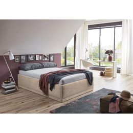 Polsterbett "Texel", beige (sand), B:146cm H:42cm L:206cm, Bezug Bett: Veloursstoff 100% Polyester oder Microfaser (100% Polyester);Bonnell-Federkernmatratze: 51% Polypropylen, 39% Polyester und 10% Baumwolle;Kaltschaummatratze: 100% Polyester, Bezug abnehm- und waschbar bis 60C;Kissenbezug: 100% Polyester, Füllung : 100% Polyester (Hohlfaser), Westfalia Schlafkomfort, Betten, Komforthöhe mit Zier