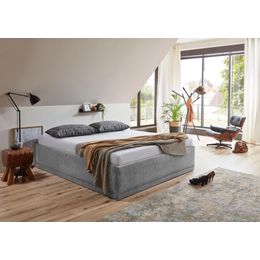 Polsterbett "Texel", grau, B:186cm H:42cm L:206cm, Bezug Bett: Veloursstoff 100% Polyester oder Microfaser (100% Polyester);Bonnell-Federkernmatratze: 51% Polypropylen, 39% Polyester und 10% Baumwolle;Kaltschaummatratze: 100% Polyester, Bezug abnehm- und waschbar bis 60C;Kissenbezug: 100% Polyester, Füllung : 100% Polyester (Hohlfaser), Westfalia Schlafkomfort, Betten, Komforthöhe mit Zierkissen, 