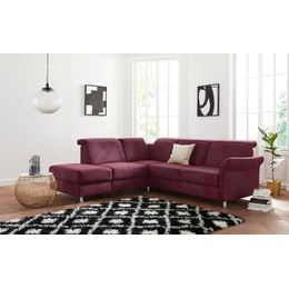Sit & More Ecksofa SIT & MORE "Darwin L-Form", rot (bordeaux), B:249cm H:83cm T:221cm, Sofas, Ecksofa, inklusive Federkern, wahlweise mit Kopfteilverstellung, Bettfunktion